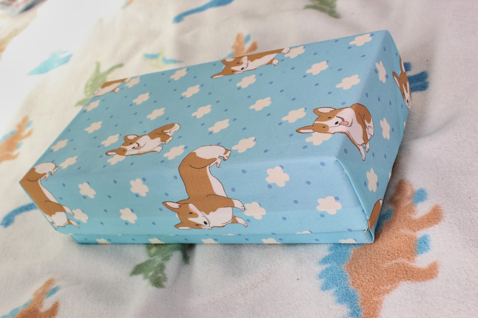Haruka Illustration: Corgi box!