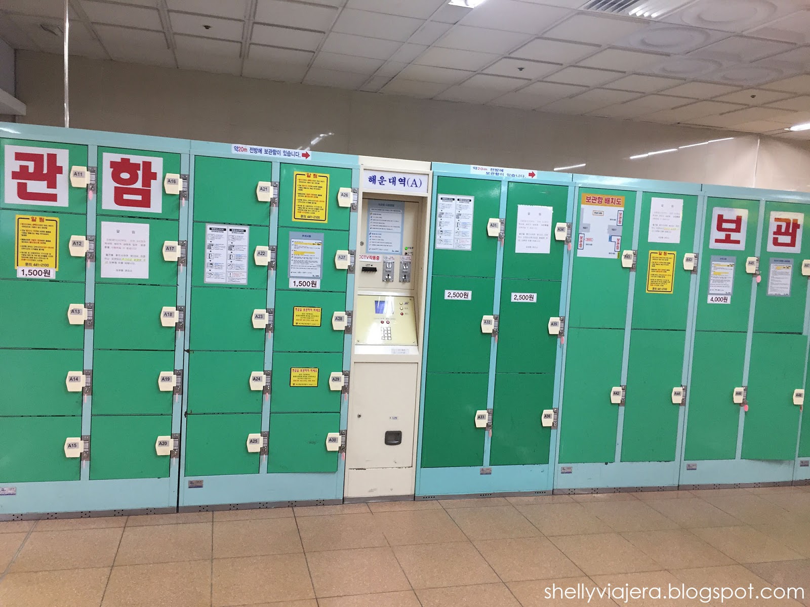 Backpacking South Korea: Tips, Tricks, and More! - Shelly Viajera Travel