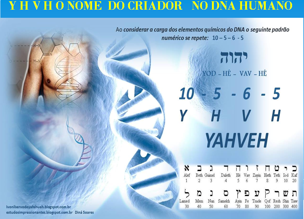 Ivonil servo de Yahshuah: YHVH Nombre del Creador YAHVEH IN HUMAN DNA ...