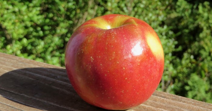 Pixie Crunch * - Adam's Apples