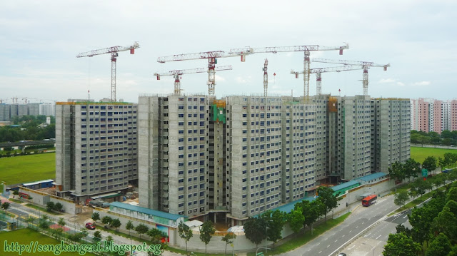 Zai@Sengkang: Anchorvale Isles (Yr 13 Wk 20)