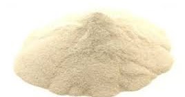 PHYCOPHYTA, MYOPHYTA – MYCOPHYTA