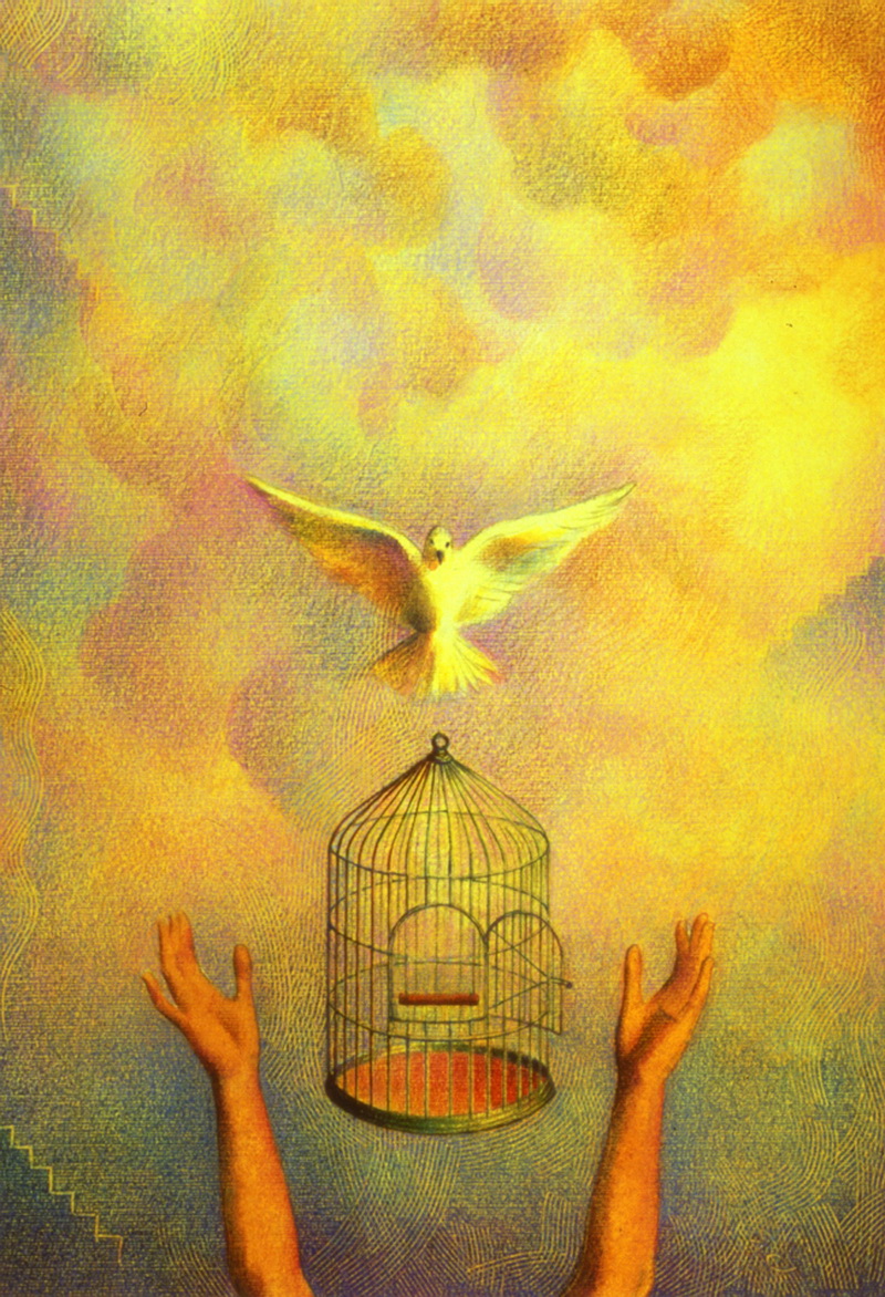 Коллекция картинок: Иллюстрации Raul Colon