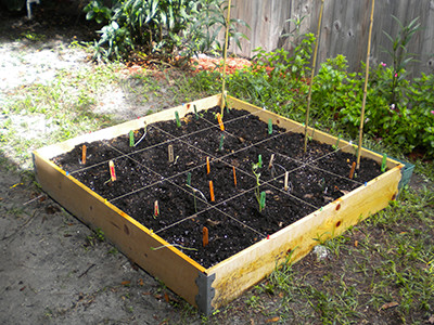 JeffCo Master Gardeners: Square Foot Gardening by Vicky Spelman