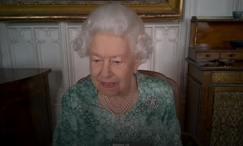Queen Elizabeth has taken part in a video call to mark British Science Week