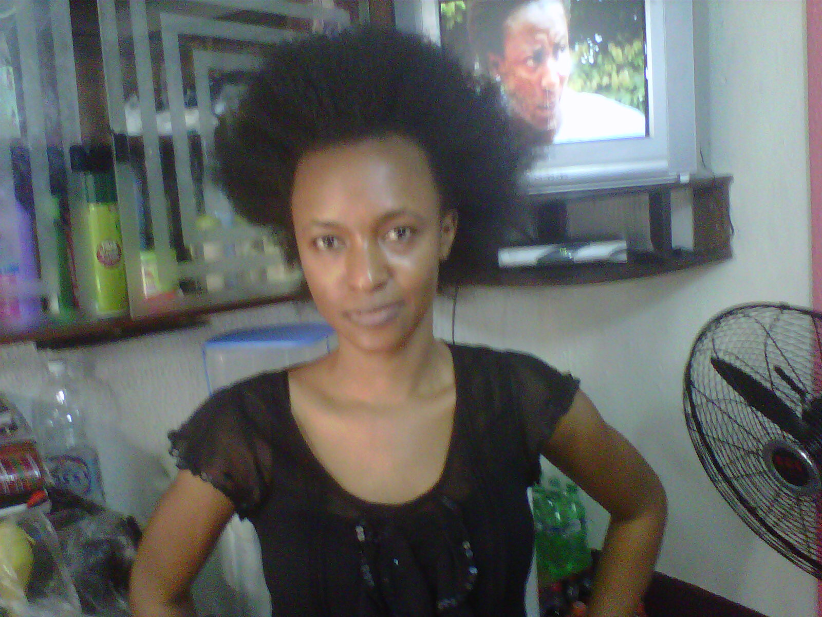 Diva's Hair-Story: Dry Shafts, Thirsty Follicles...My Story