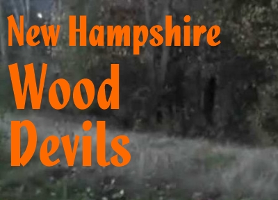 Phantoms and Monsters - Real Eyewitness Cryptid Encounter Reports