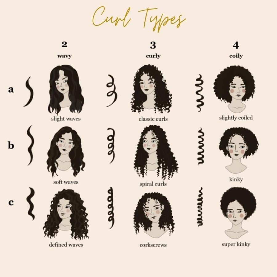 Ms Z s Cosmetology Page Curl Types ms-z-s-cosmetology-page-curl-types
