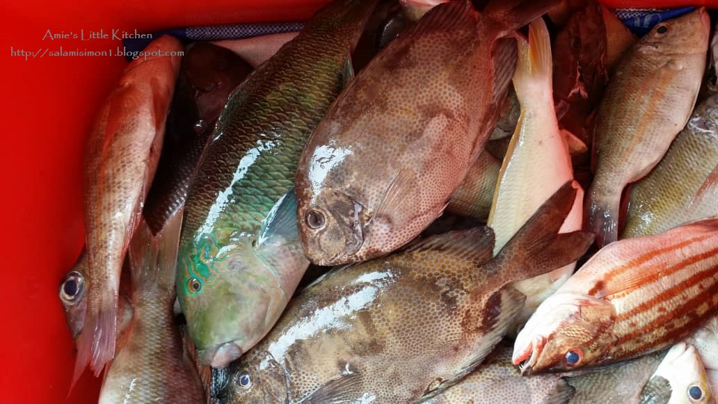 Jalan-Jalan Cari Ikan di Tabanac Freshmart - Amie's Little Kitchen
