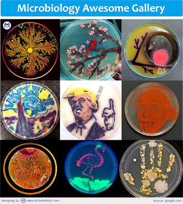 Microbial Art - Seni Melukis Mikroorganisme di Atas Medium Agar ...