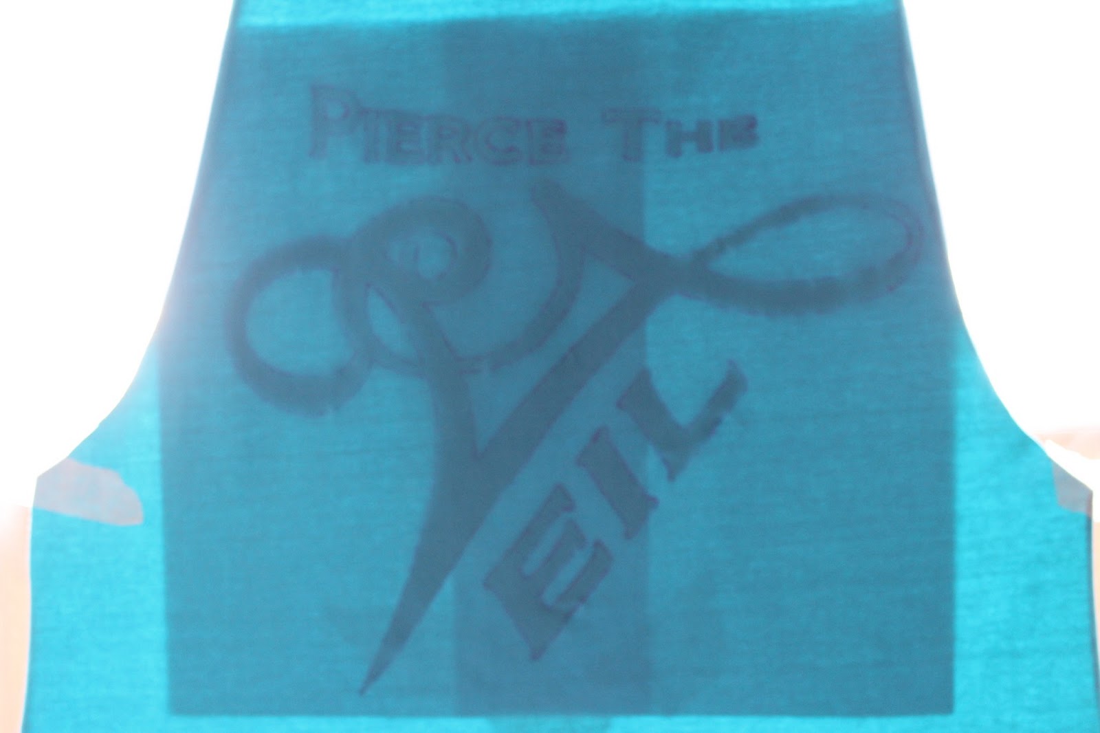 Take it like a man!: {DIY} PtV-Shirt