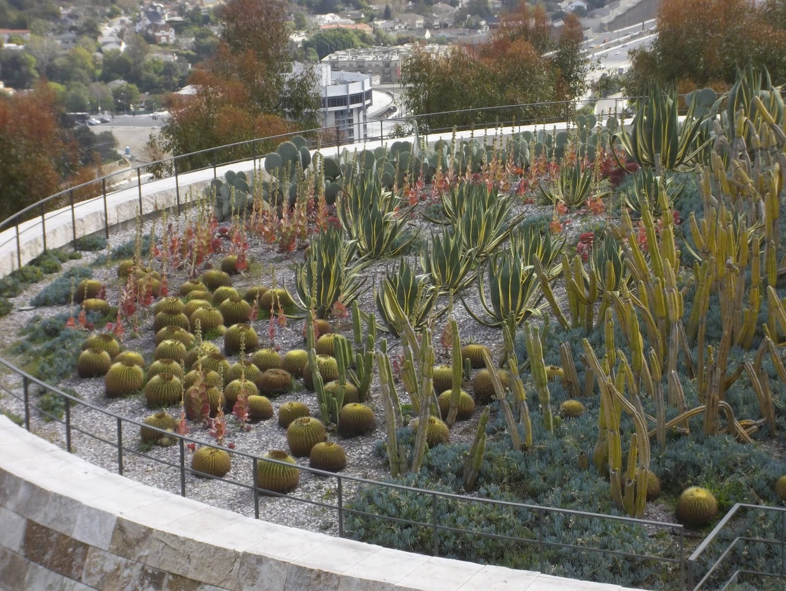 Gardening Turned Up to Eleven: Getty Cactus Gardens