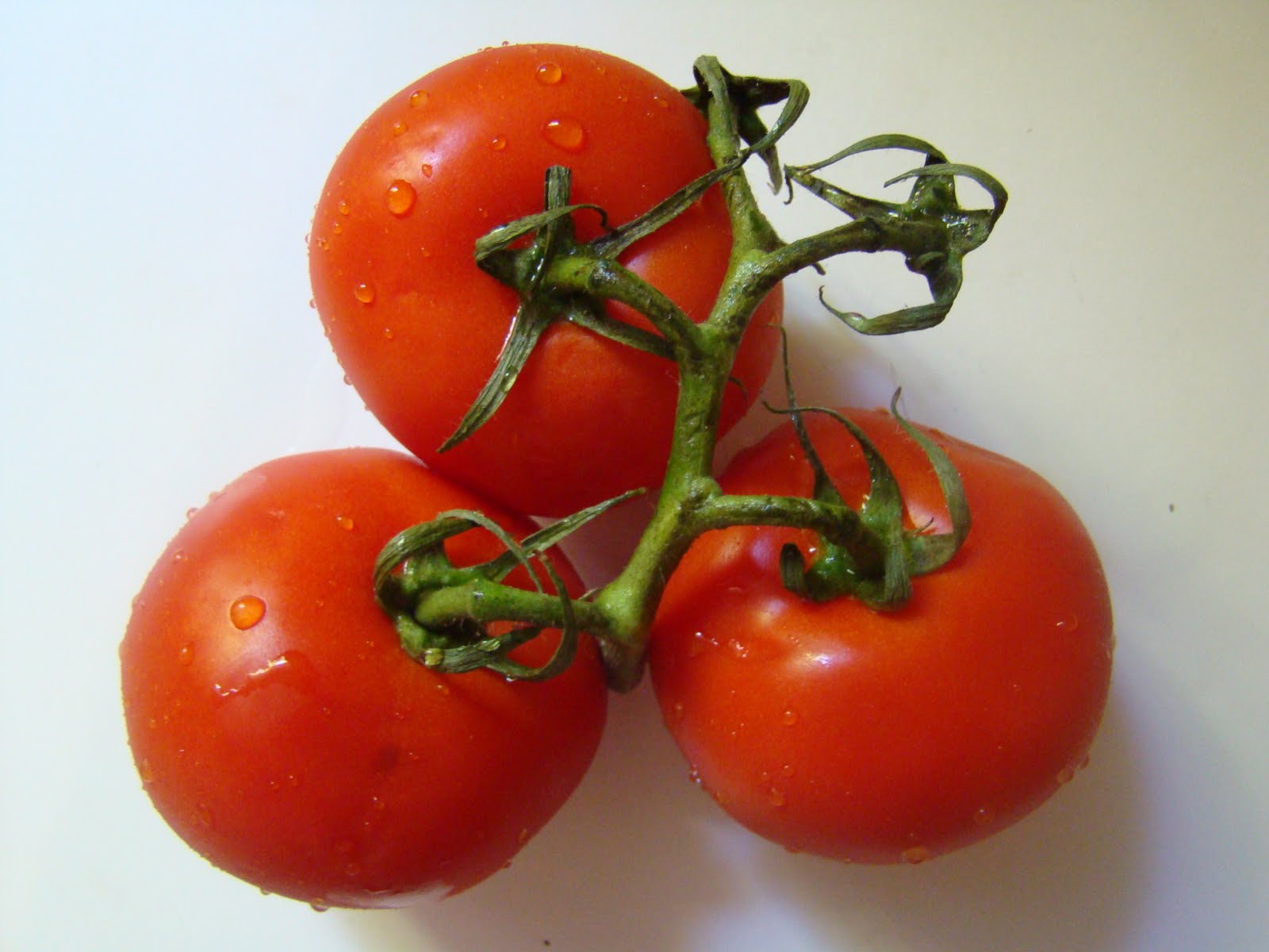 La tomate a toutes les sauces