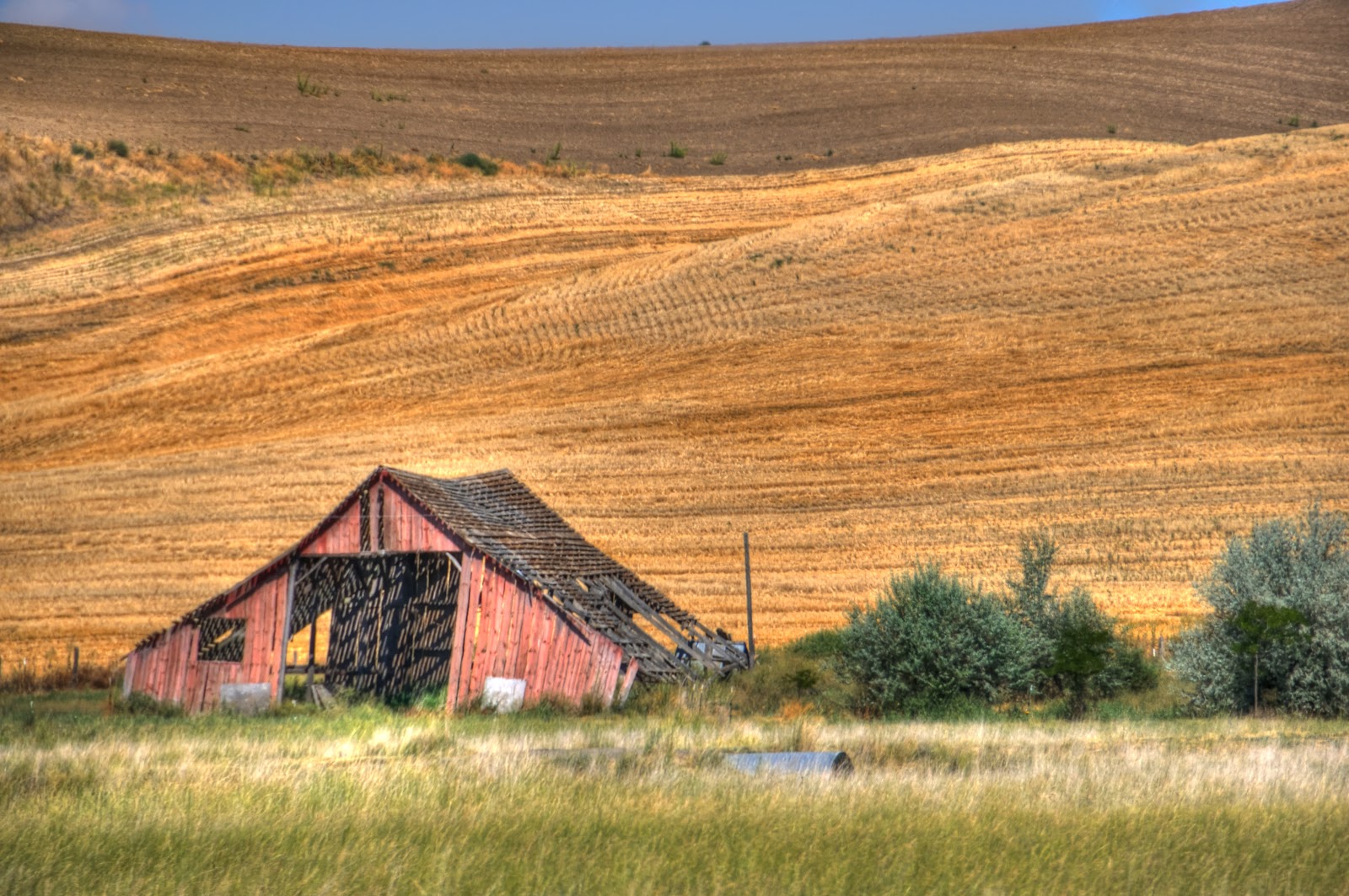 This Life in Ruins: Barn near Dusty, wa