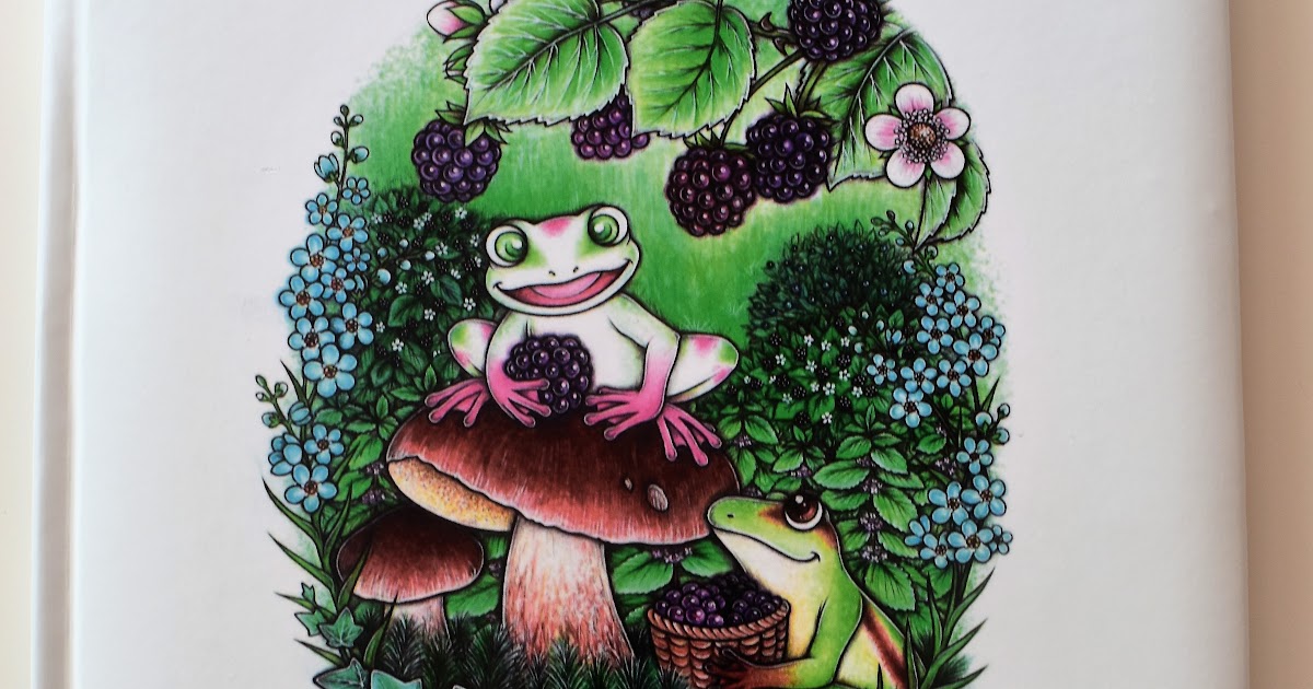 Knihovníčkin svet: Kam patrí žabka Mentolka?