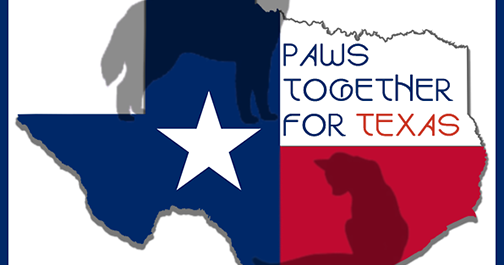 Paws Together for Texas: How to Help Animals Affected by Harvey | Lola ...