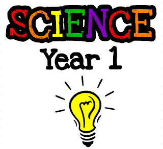 Iman's Home-School: Science - Year 1
