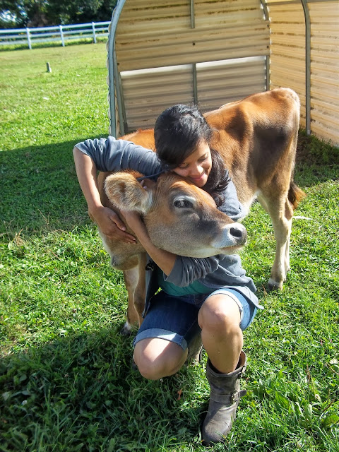 When animals fall in love with humans - Animal Info