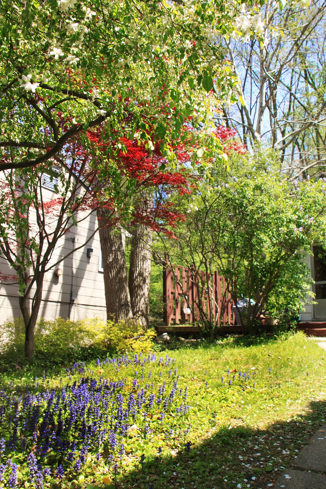 LoveStruck: |{ April Showers Bring May Flowers }|