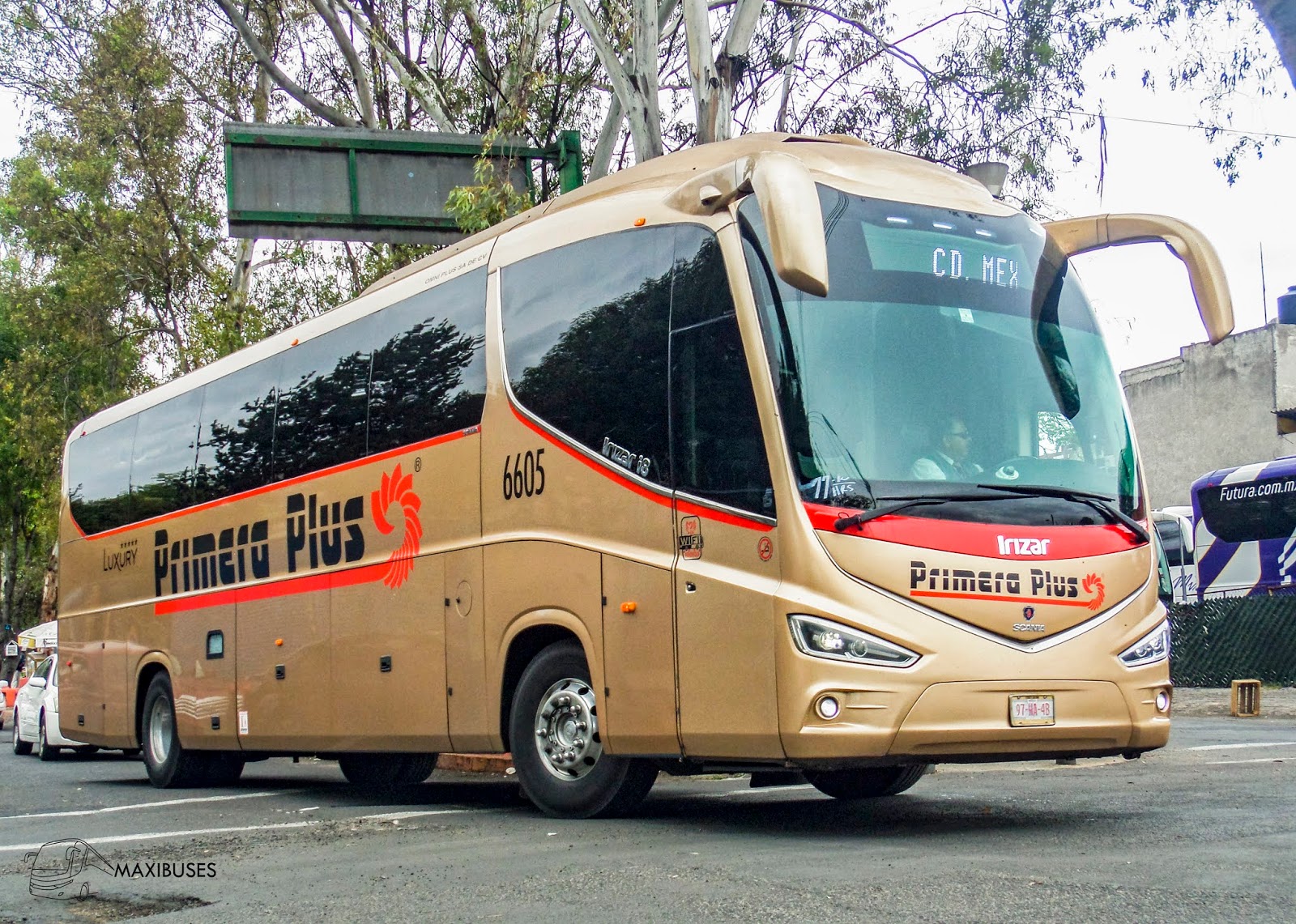 MAXIBUSES: PRIMERA PLUS