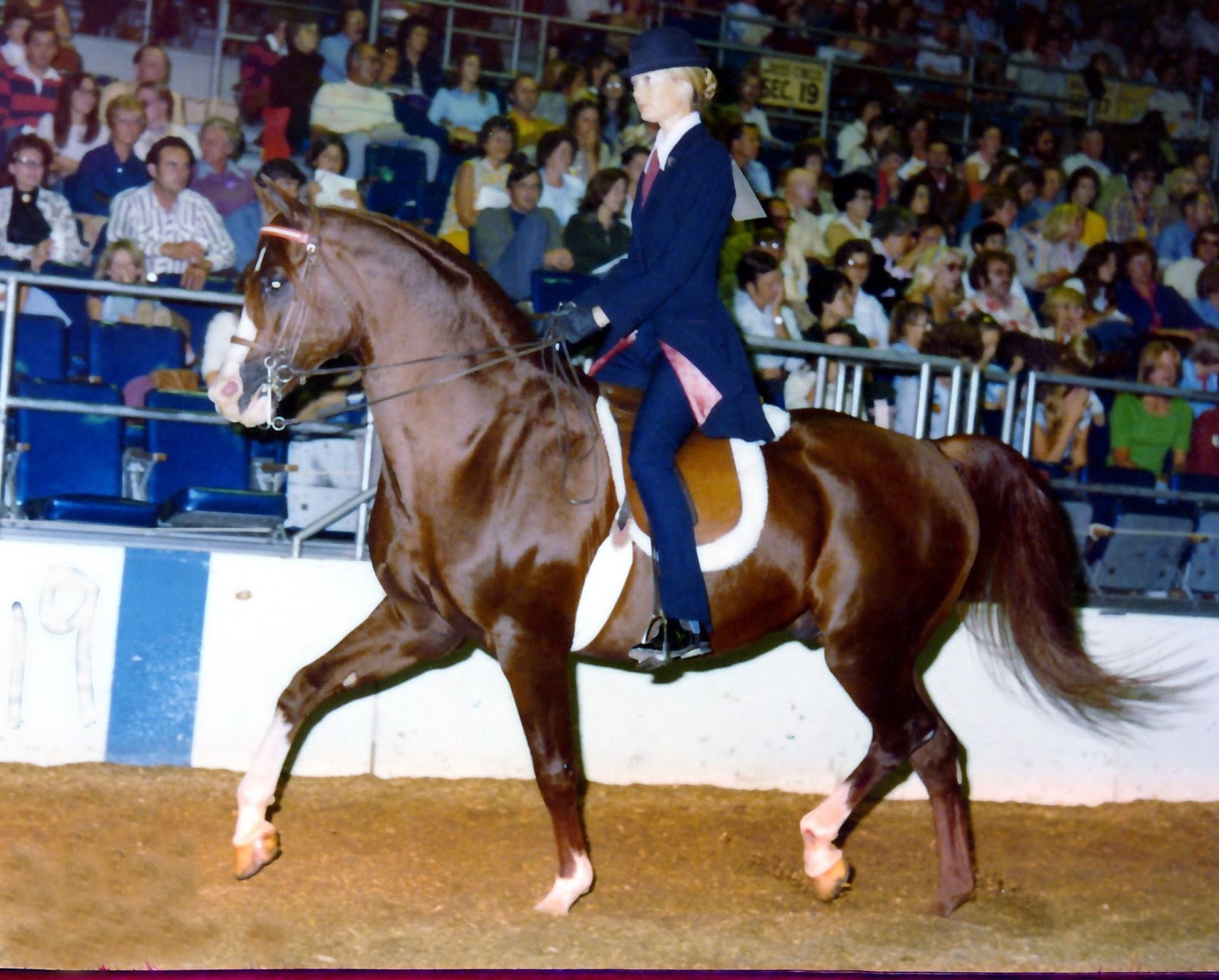 California Horse History Project: Capturing the Eagle in Flight ...