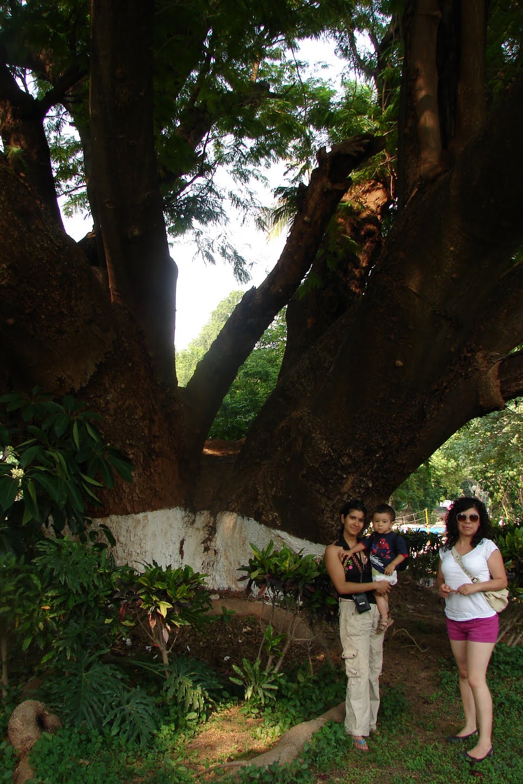 Llocs i Paisatges del Melic de la Lluna: Balneari de Tehuixtla, Morelos