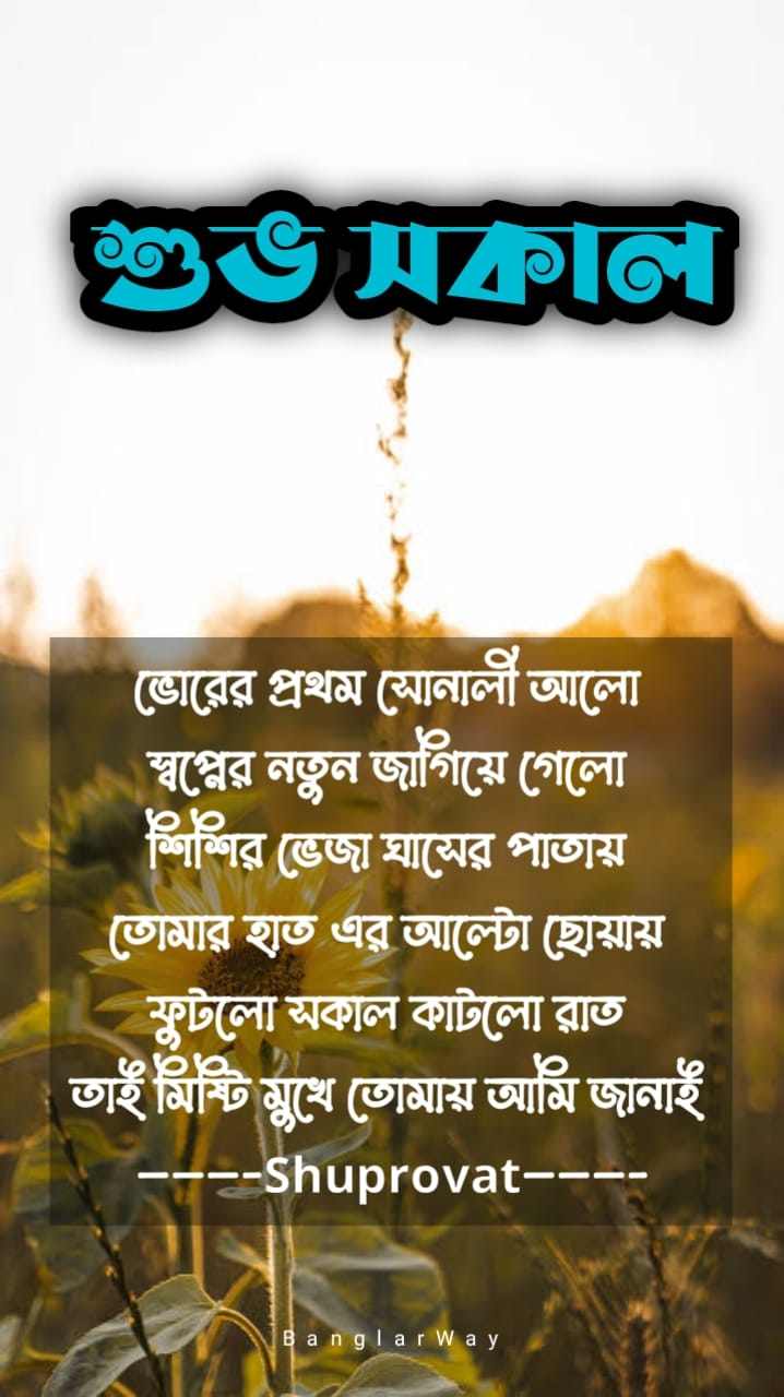 Bengali Good Morning Quotes - Morning Wishes in Bengali with Images