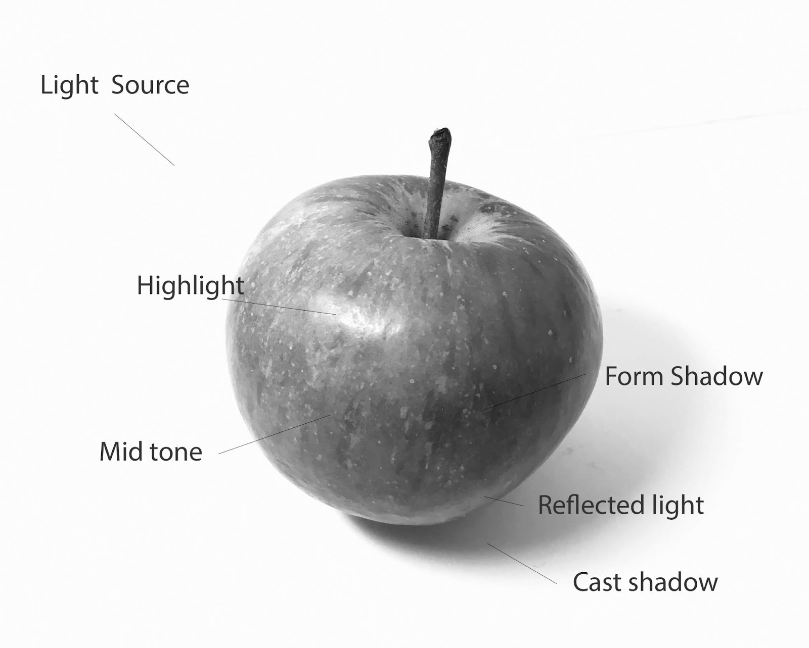 Dianne Sutherland: Beginning in Botanical Art and illustration