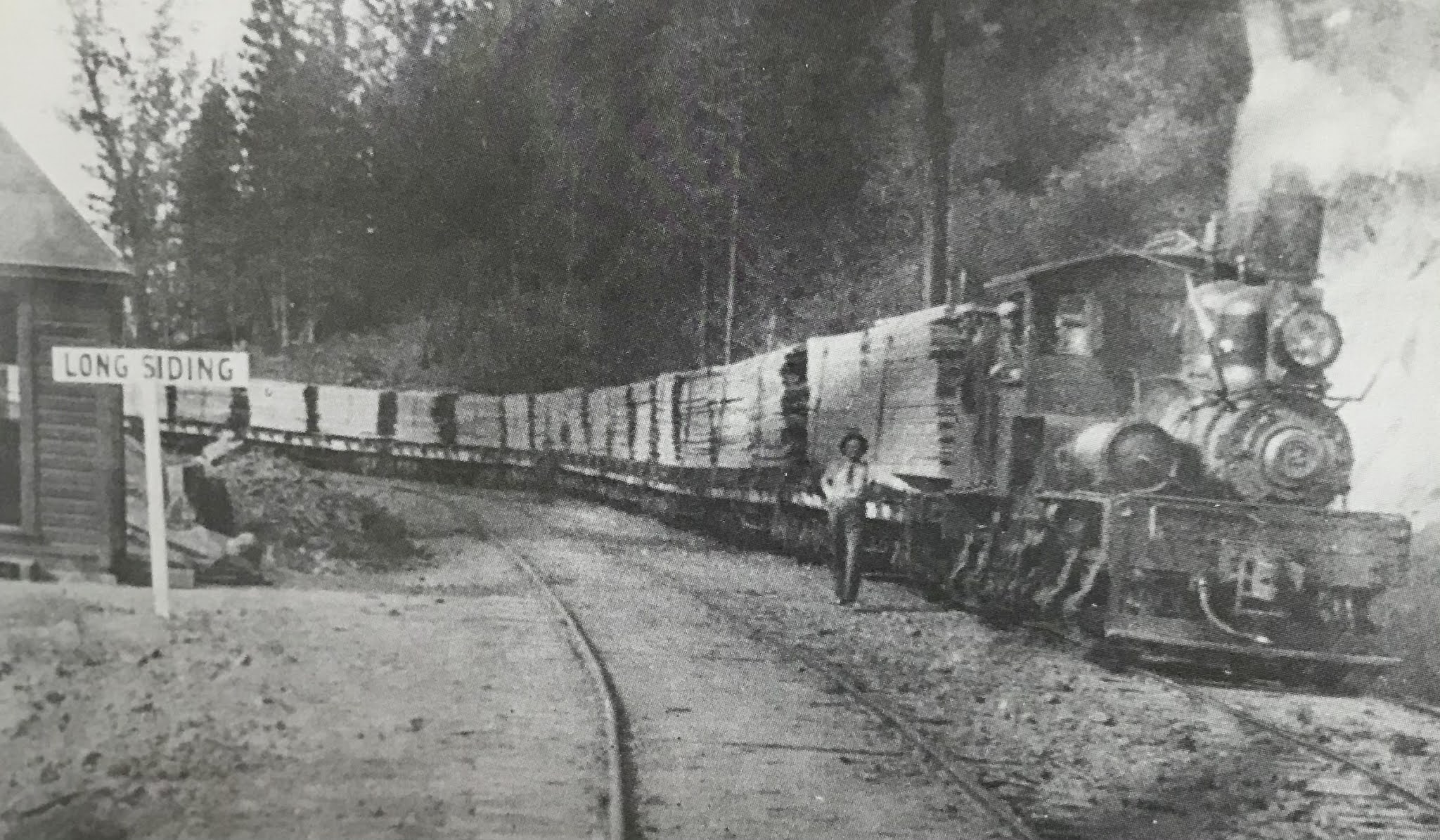Modeling the Pickering/Madera/Sugarpine Lumber Co. Logging Railroads: 2021