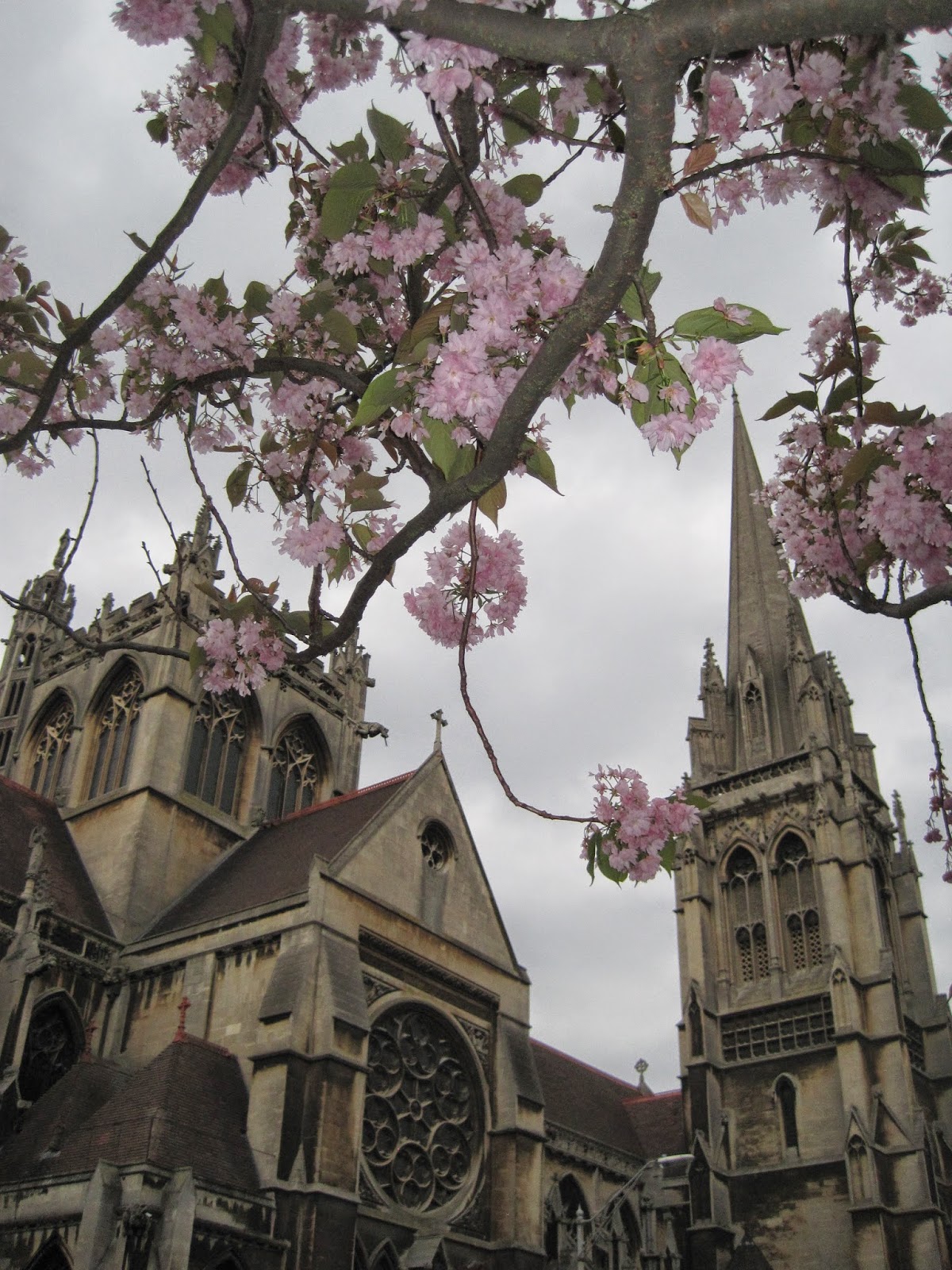 The Acolyte's Tale: BBC Sunday Worship from OLEM Cambridge