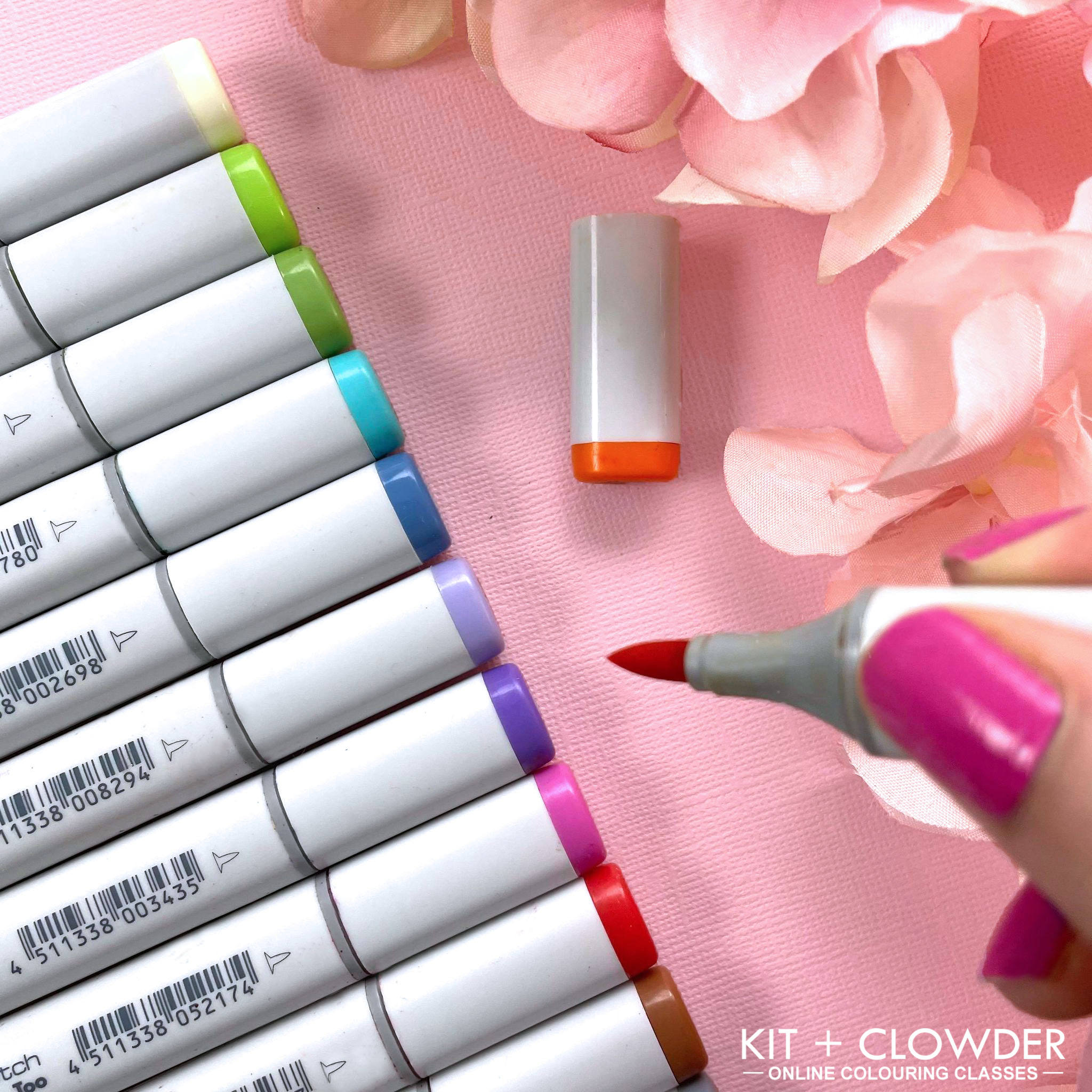 Kit and Clowder Online Colouring Classes