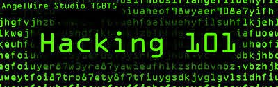 Computer Expert Hackers: The Basics of Hacking 101