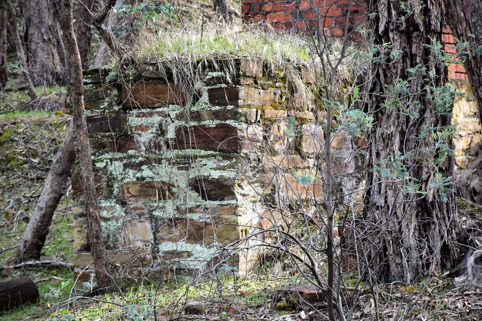 Goin' Feral One Day At A Time: Spring Gully & Break Neck Hill ...