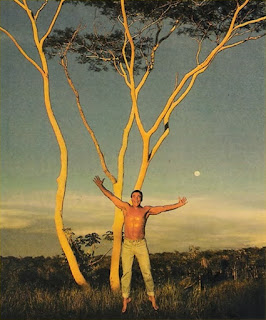 G MAGAZINE #019 Abril/1999 - David Cardoso - Arquivo G Magazine