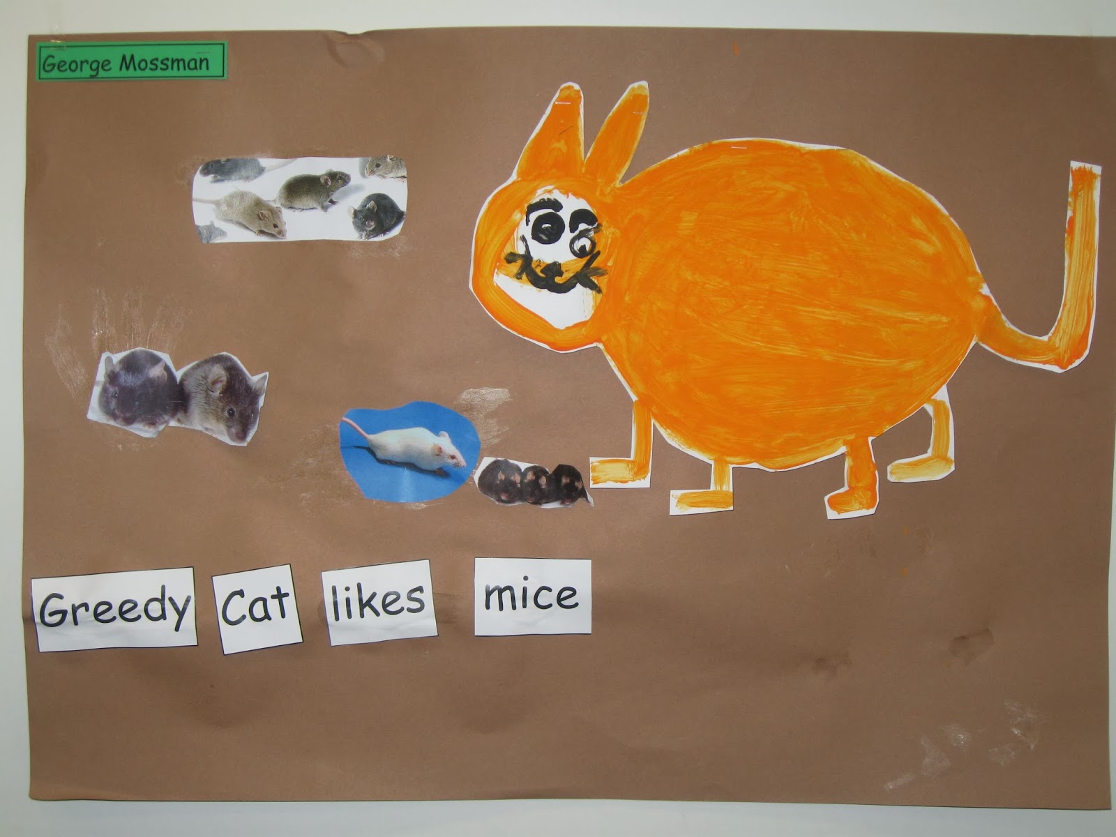 A Boyd: What Does Greedy Cat Like?