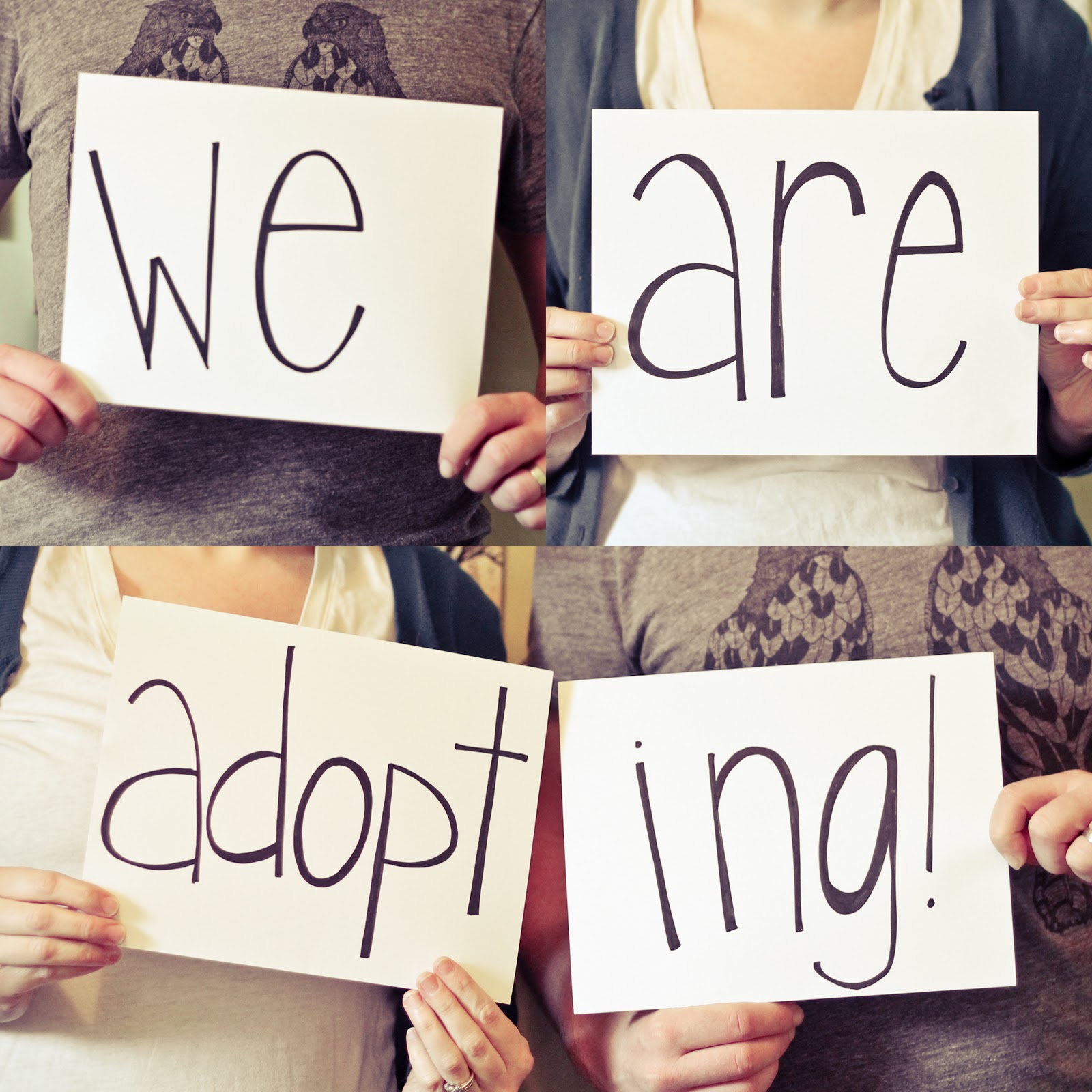 The Anderson Way of Life // Life, Ministry, and Adoption Blog: adoption.