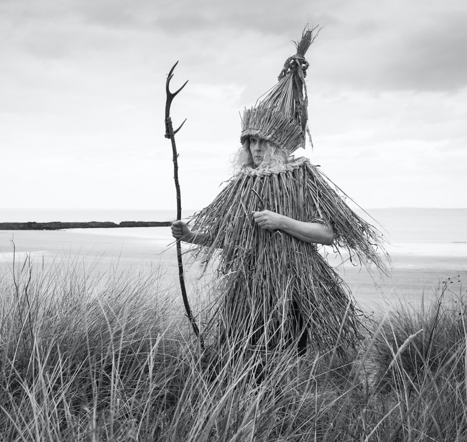 the art room plant: Laurence Winram IV