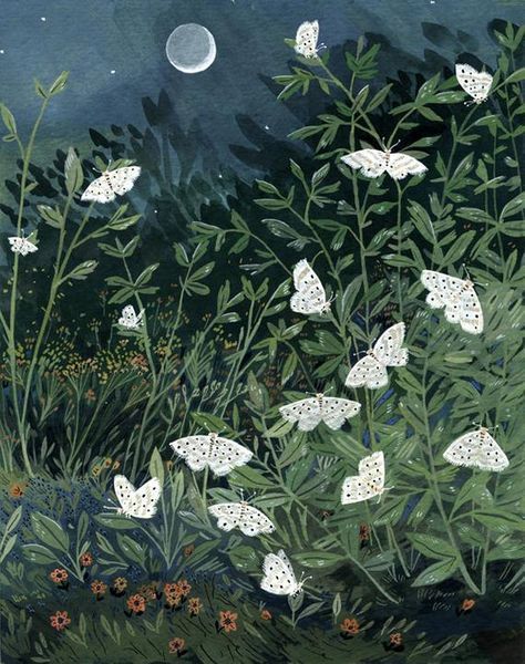 Midnight Farm ~: ~ Moonflowers & Moths