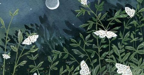 Midnight Farm ~: ~ Moonflowers & Moths