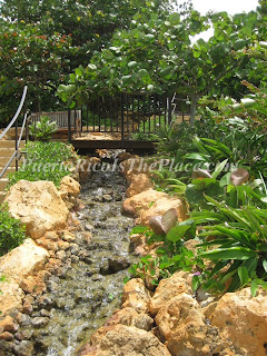 Puerto Rico Is The Place: Exploring Royal Isabela Resort In Puerto Rico