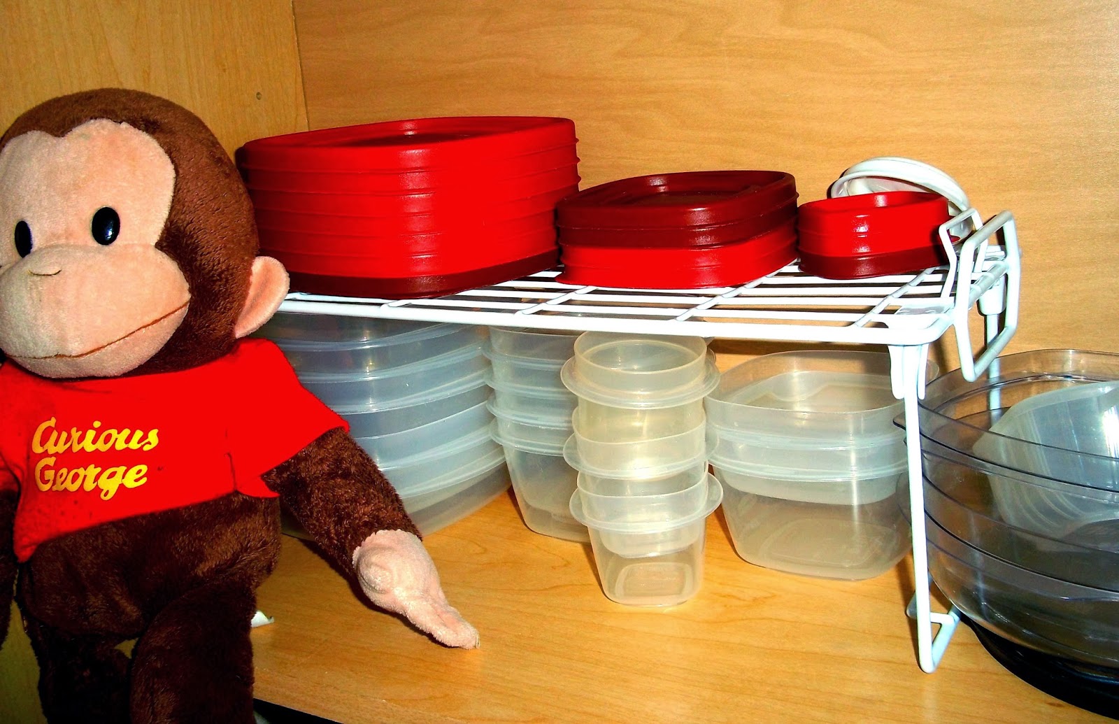 Cole Train of Thought