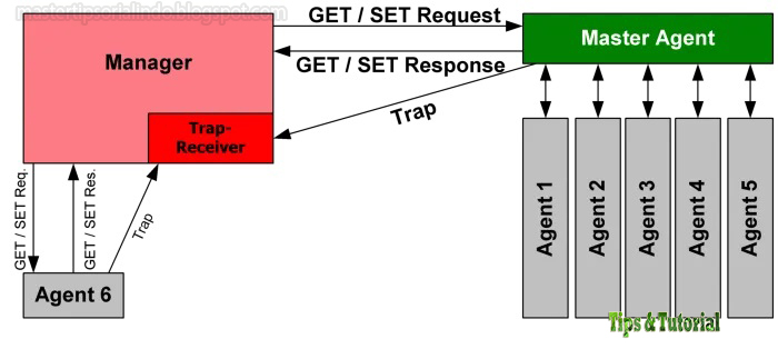 Apa itu Network Time Protocol dan Simple Network Management Protocol ...