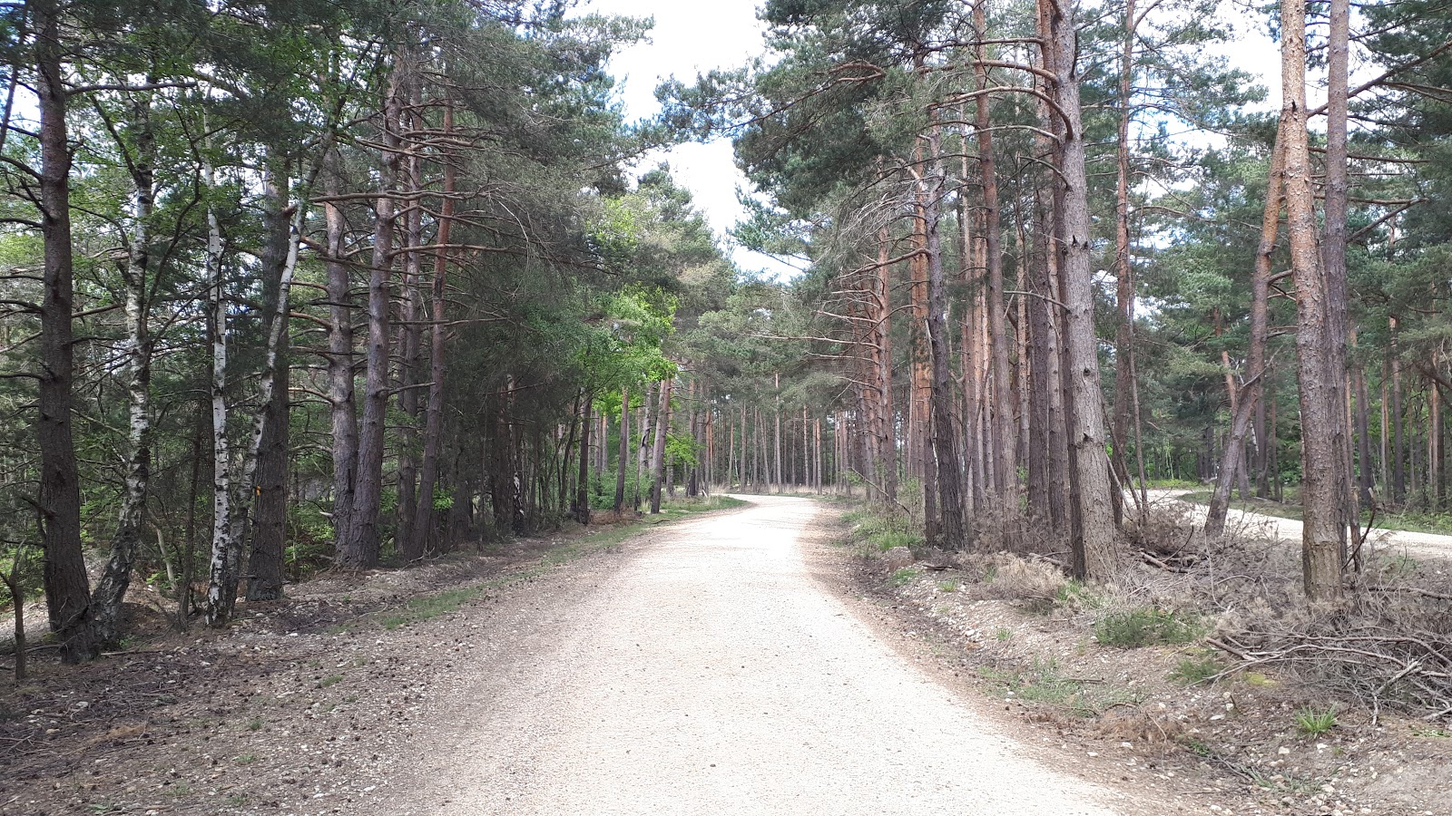 Pirbright Ranges unlocked