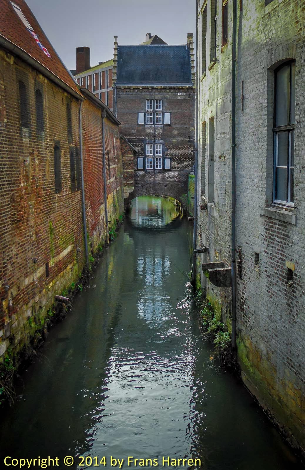 Jeker ~ Frans Harren Photography