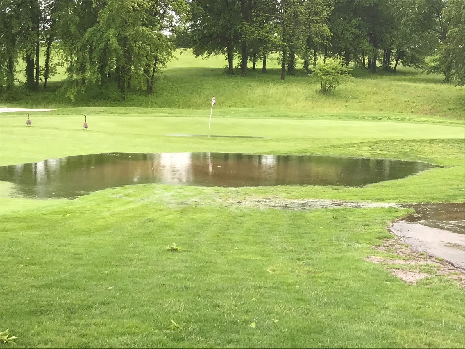 ADAMS POINTE GOLF CLUB: May 2019