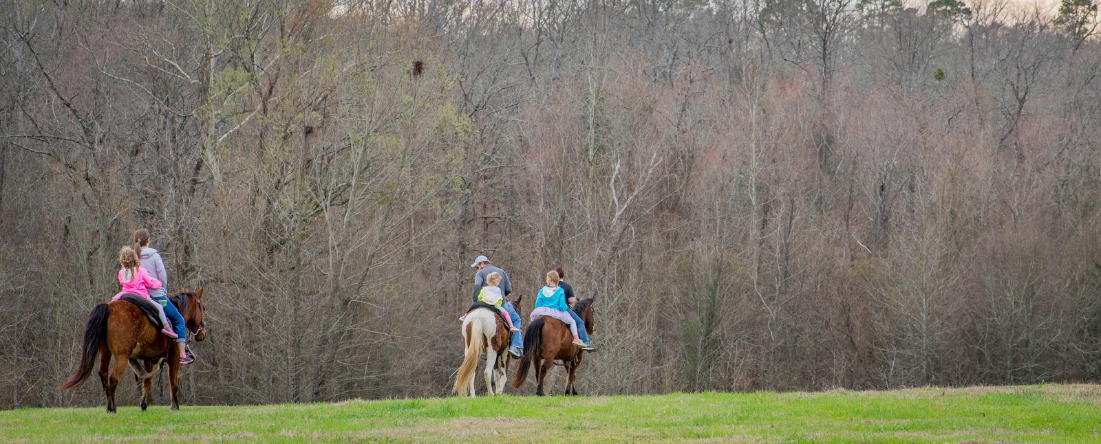 The Hamilton Highlights: Horseback Riding in Broken Bow