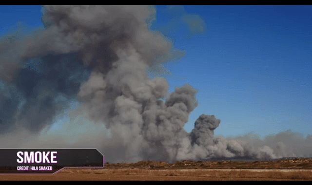 The Science of Wildfires - Visualistan