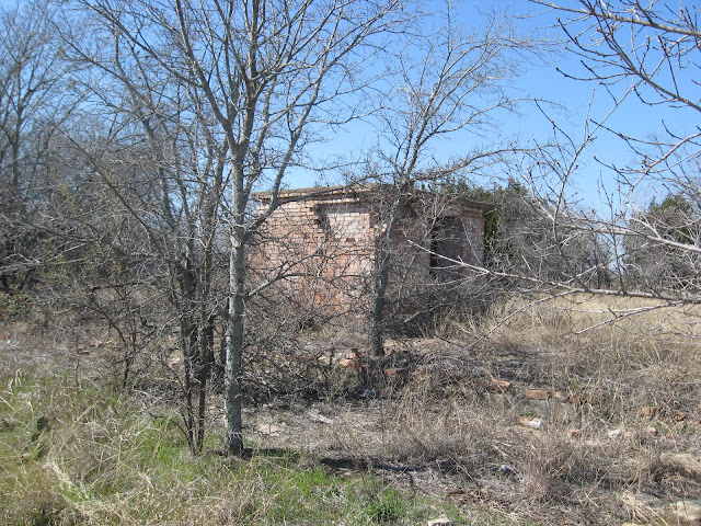 Texas Small Town Adventures: Welcome to Ireland, Texas!