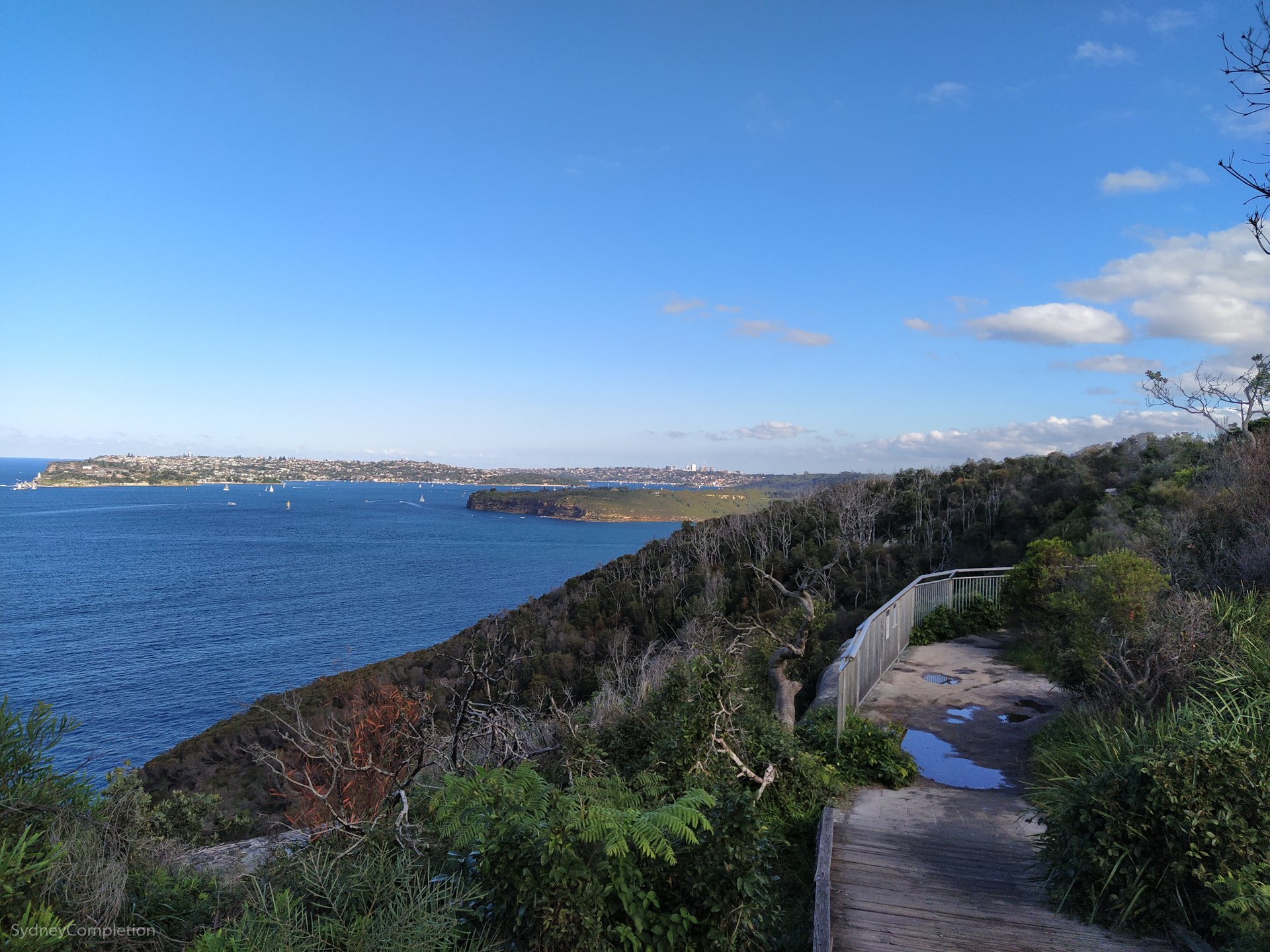 Highs and Lows: Balgowlah Heights and Balgowlah - Completing Sydney