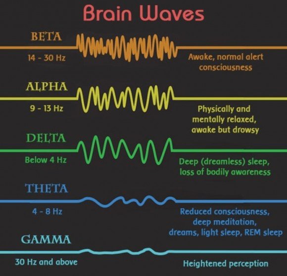 Tìm hiểu về Biểu đồ các loại sóng não: Alpha, Beta, Delta, Theta, Gamma ...